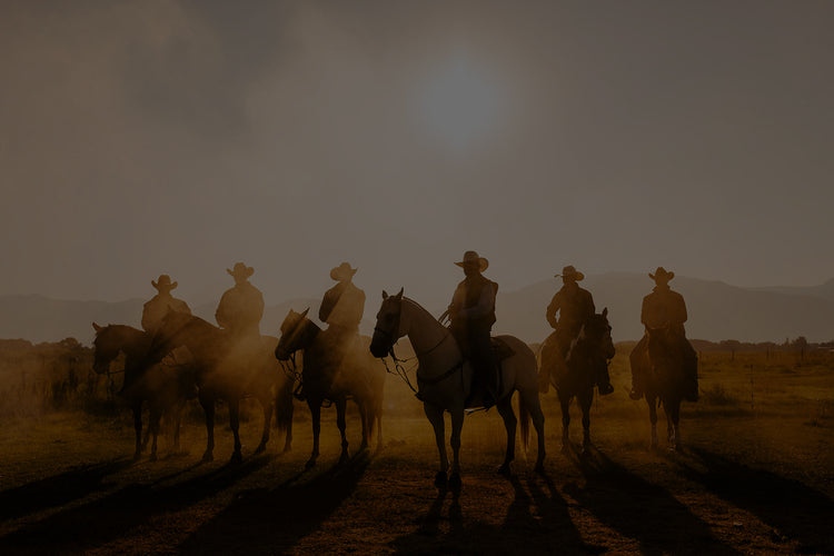 Official NFR Merchandise